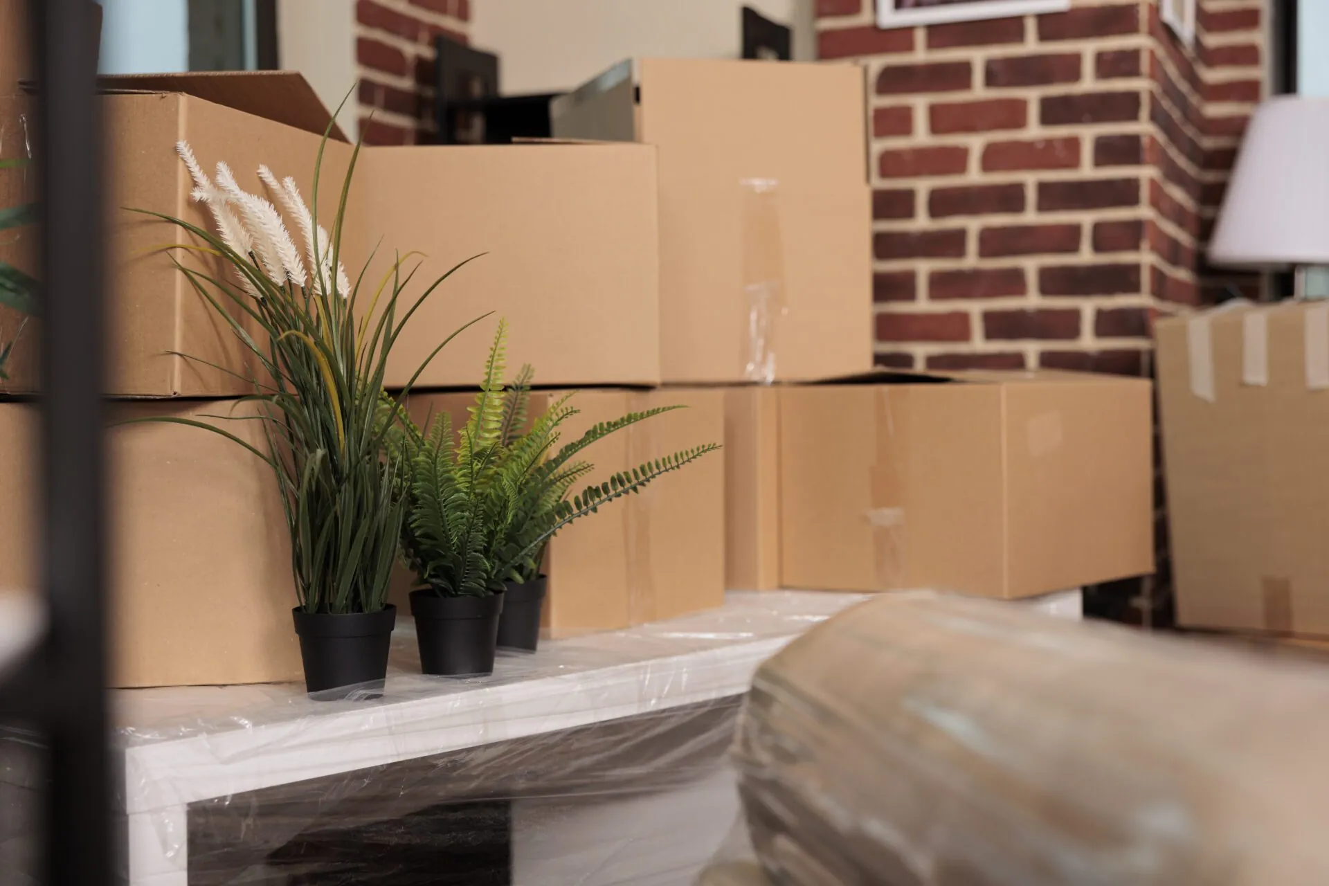 Residential Packing Services | Expert Packing Help
